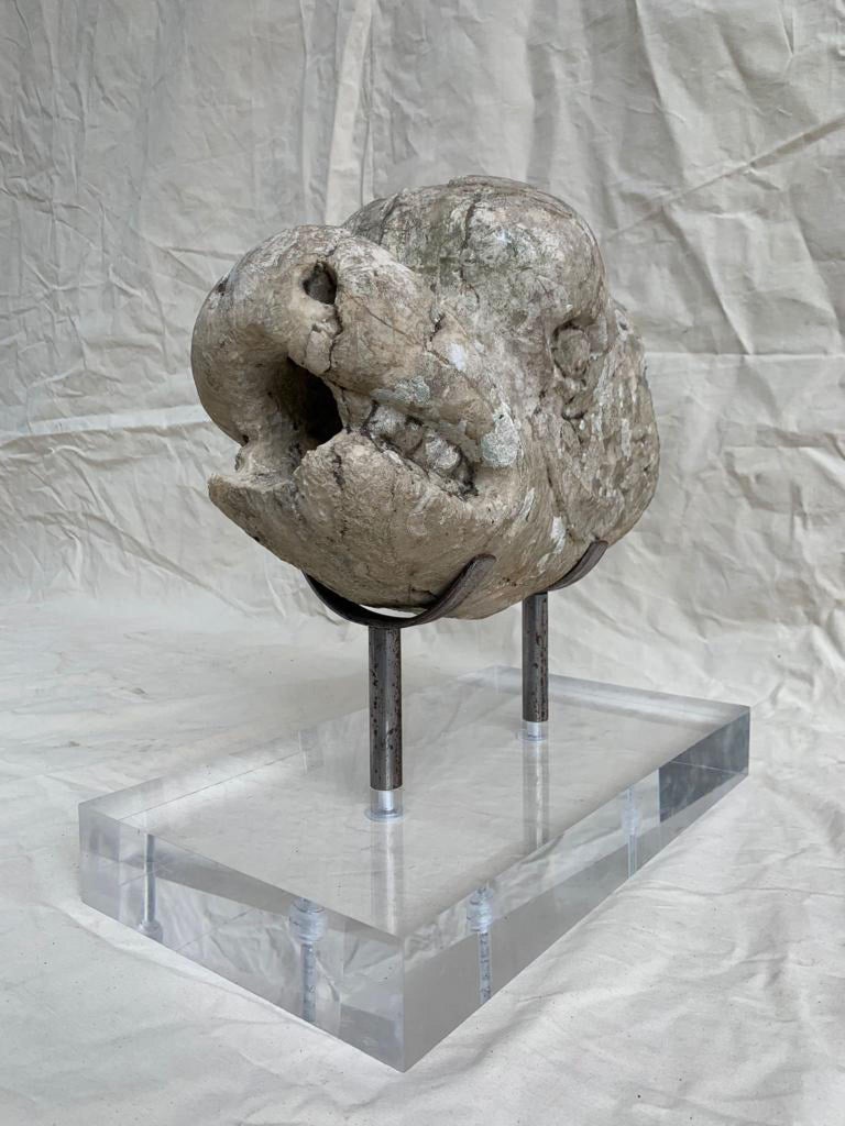 Sculpture in lioz stone representing a dolphin Portugal 18th century ...