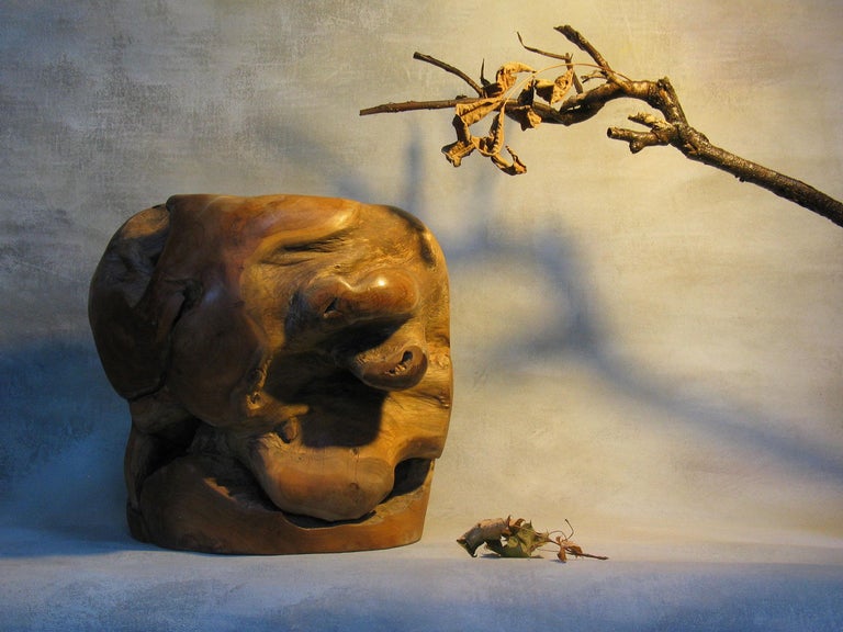Sculptured Polished Teak Root Ball Stool or Side Table at 1stDibs