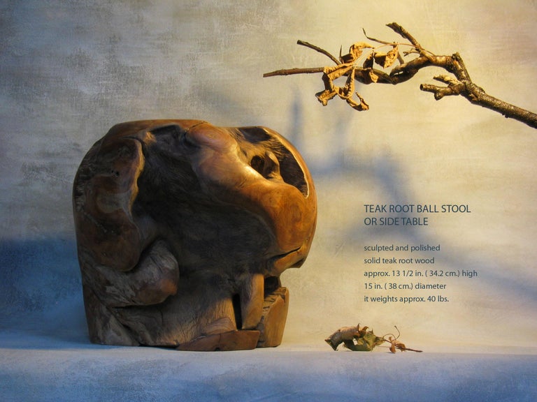 Sculptured Polished Teak Root Ball Stool or Side Table at 1stDibs