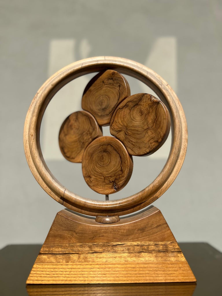 Scultura Astratta in Radica Di Noce, xx Secolo, Sculpture, Vintage ...