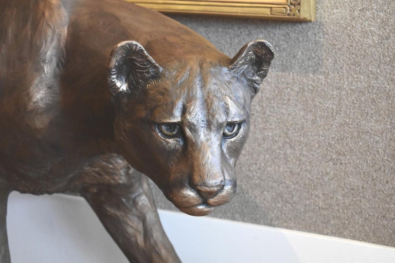 Scy - "COUGAR" MOUNTAIN LION LIFE SIZE AWESOME. KEEPS THE CRITTERS OUT ...