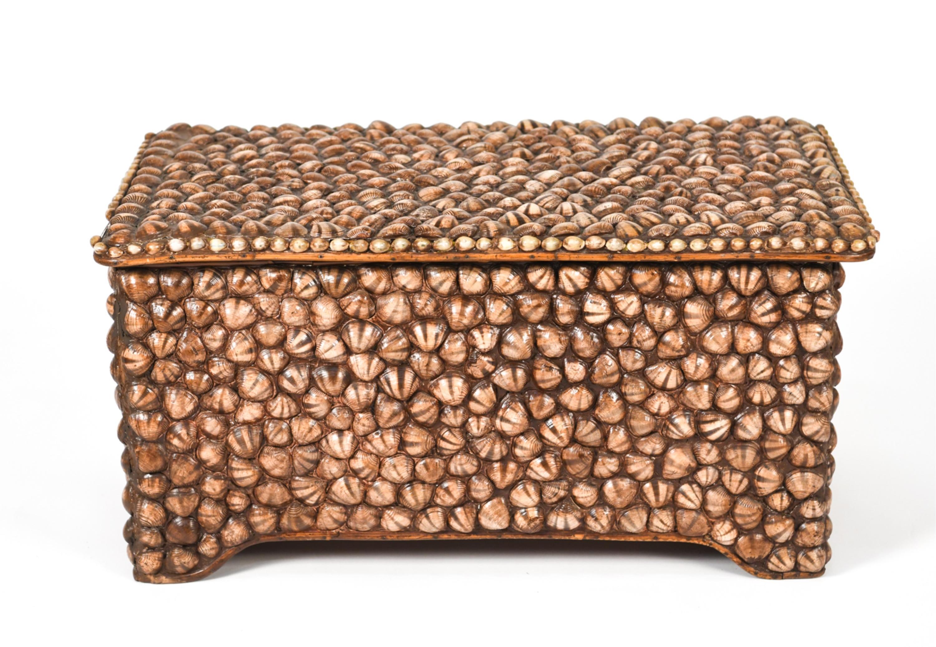 Sea Shell Encrusted Chest For Sale at 1stDibs | chest shell
