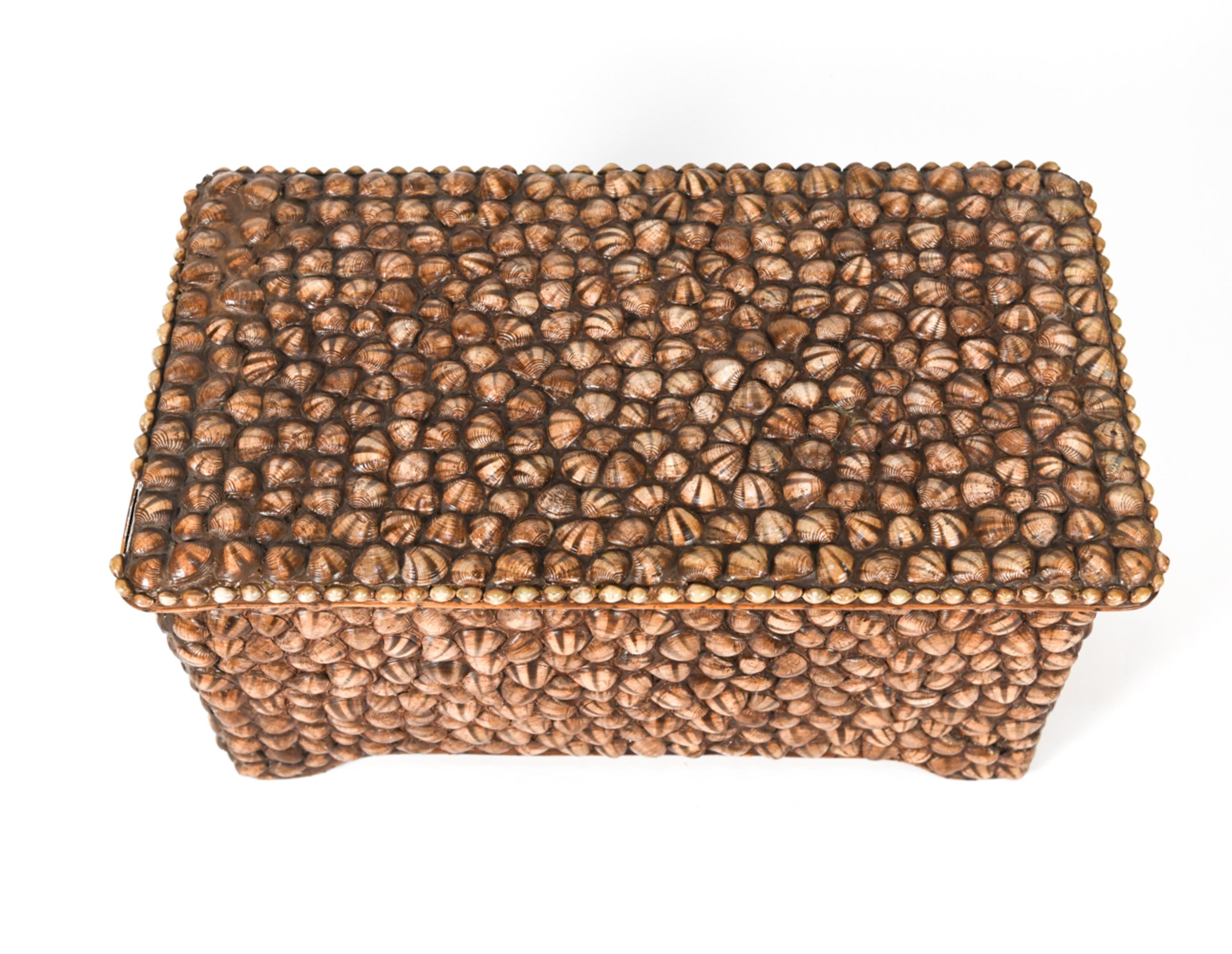 Sea Shell Encrusted Chest For Sale at 1stDibs | chest shell