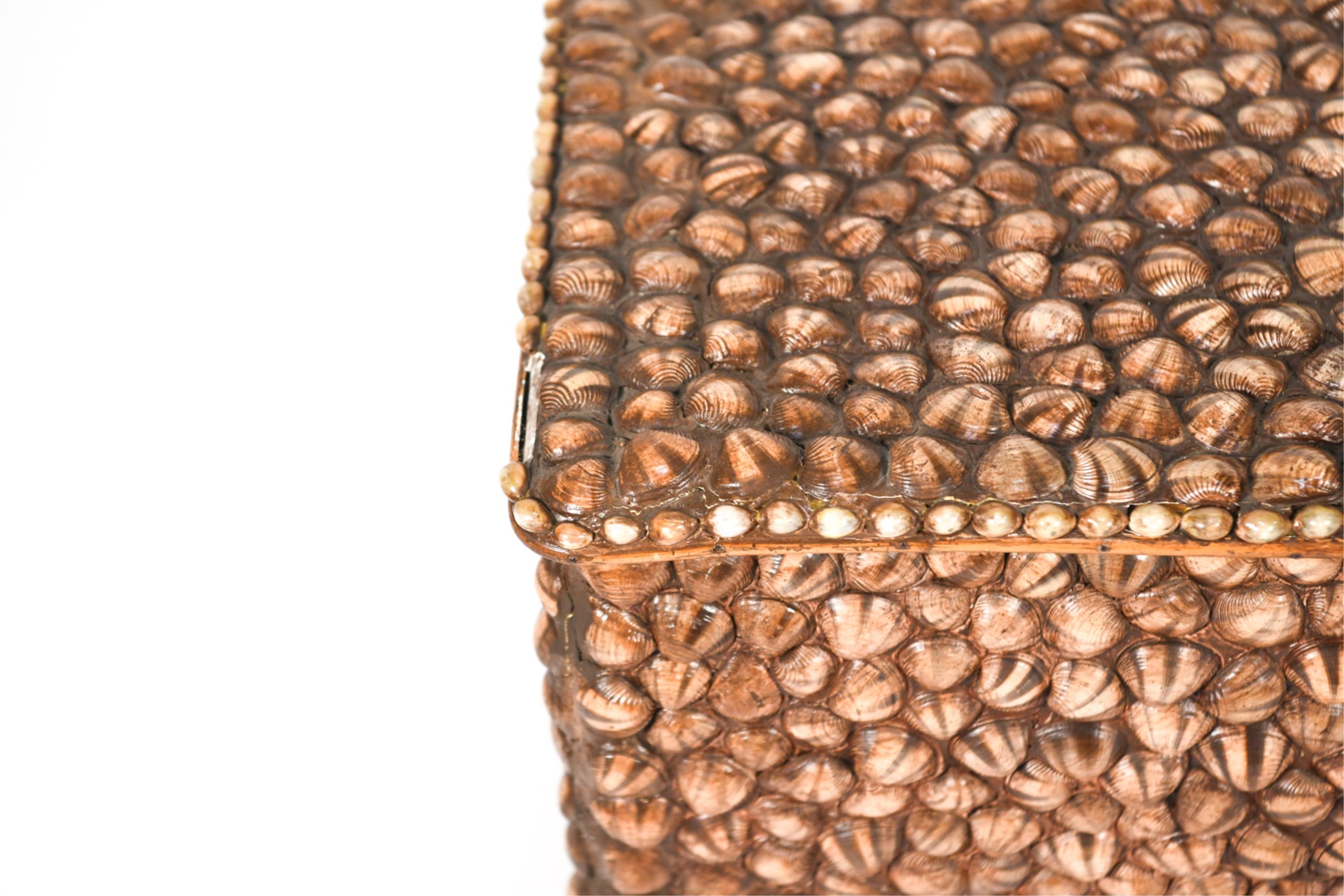 Sea Shell Encrusted Chest For Sale at 1stDibs | chest shell