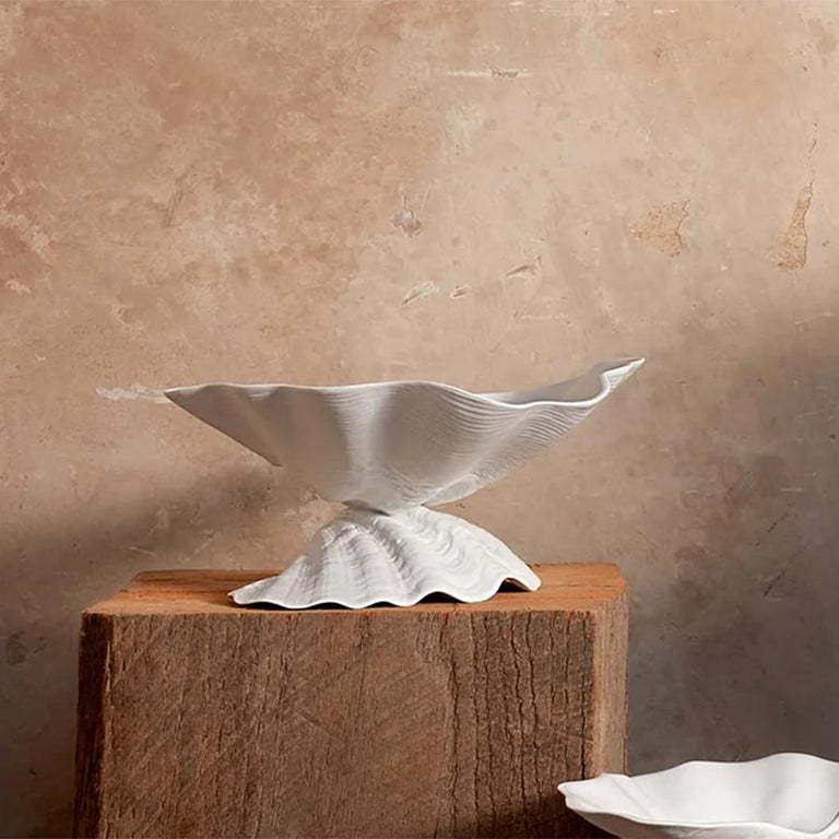 Sea Shell Large Dish For Sale At 1stdibs