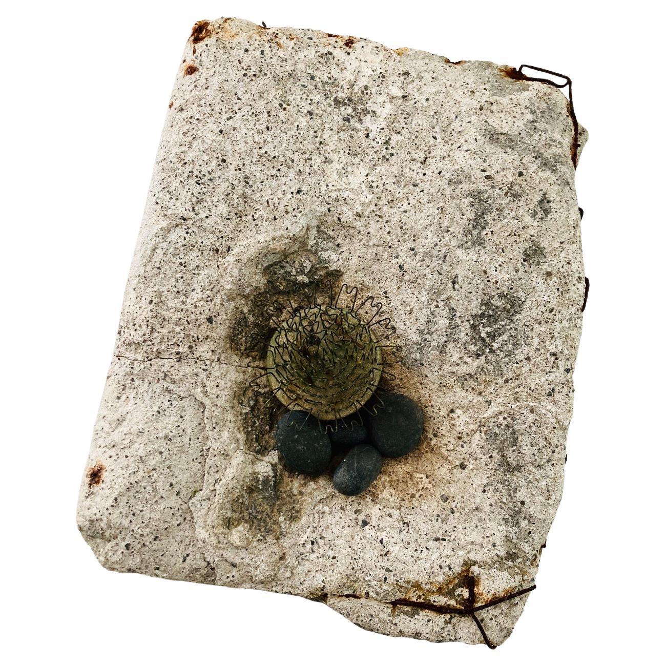 Barnacle and Sea Sponge Encrusted Vessel at 1stDibs | barnacle vessel ...