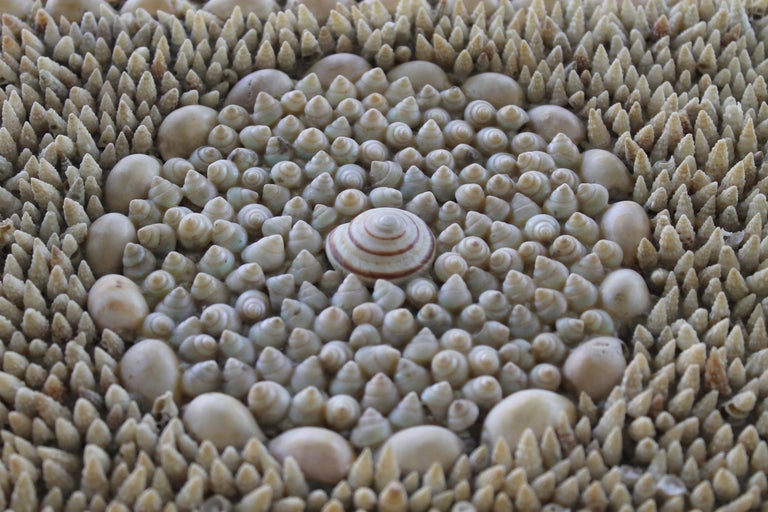 Seashell Covered Paint Box Sculpture by Barton Benes at 1stDibs | shell ...