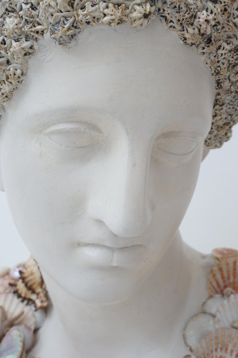Seashell Encrusted Neoclassical Bust For Sale at 1stDibs