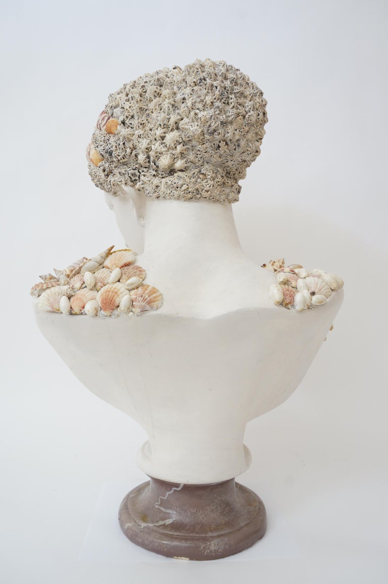 Seashell Encrusted Neoclassical Bust For Sale at 1stDibs