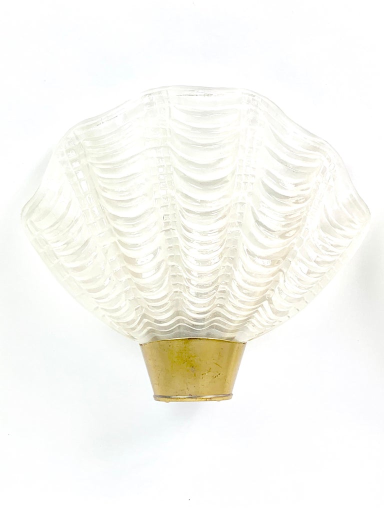Seashell Sconces Glass and Brass, 1950, Sweden For Sale at 1stDibs