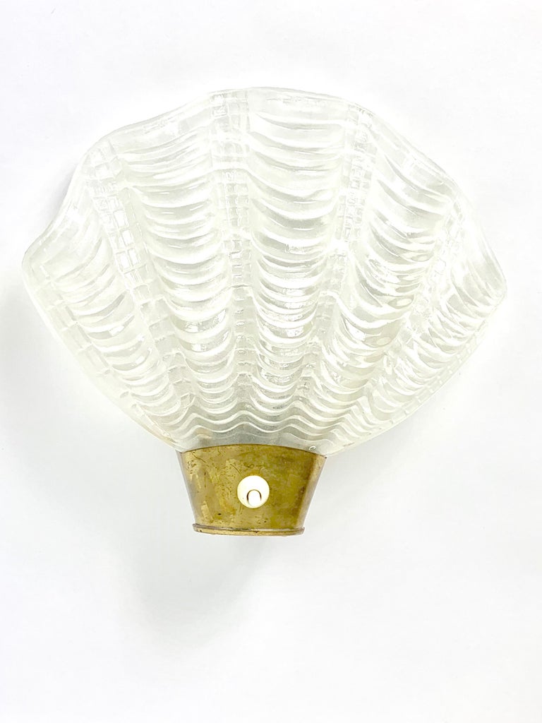 Seashell Sconces Glass and Brass, 1950, Sweden For Sale at 1stDibs