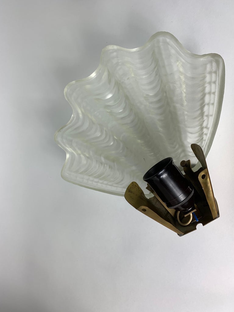 Seashell Sconces Glass and Brass, 1950, Sweden For Sale at 1stDibs