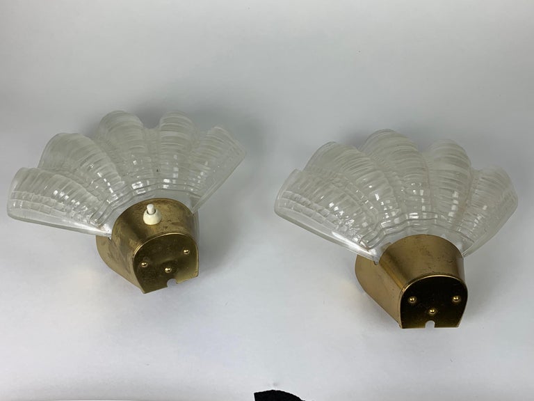 Seashell Sconces Glass and Brass, 1950, Sweden For Sale at 1stDibs