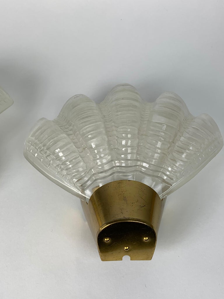 Seashell Sconces Glass and Brass, 1950, Sweden For Sale at 1stDibs