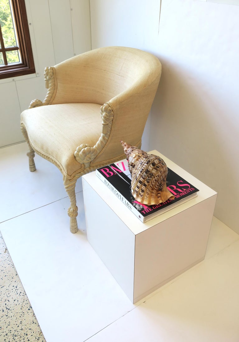 Seashell Specimen, Large For Sale at 1stDibs