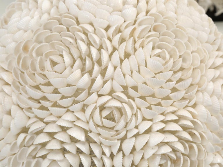 Seashell Sphere Lamps, Set of '7' in Various Dimensions at 1stDibs