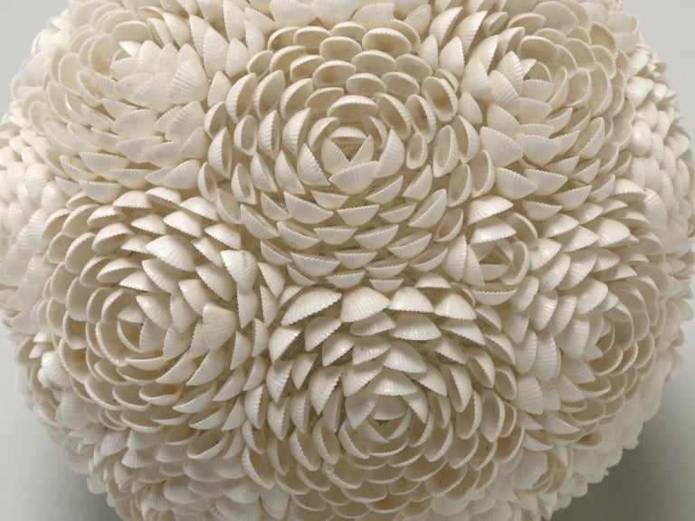 Seashell Sphere Lamps, Set of '7' in Various Dimensions at 1stDibs