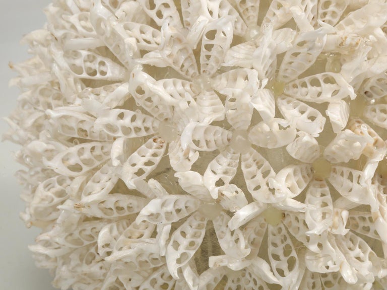 Seashell Sphere Lamps, Set of '7' in Various Dimensions at 1stDibs