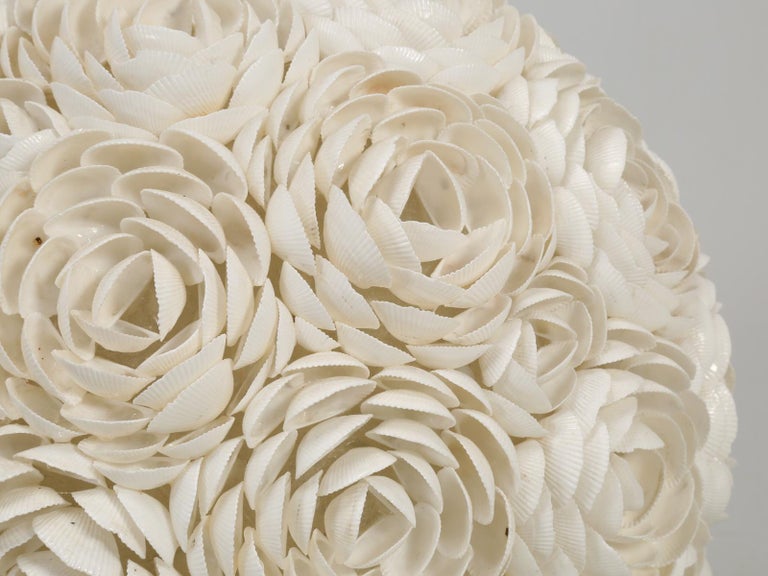 Seashell Sphere Lamps, Set of '7' in Various Dimensions at 1stDibs