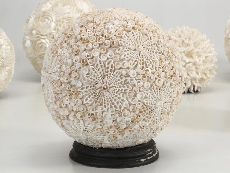 Seashell Sphere Lamps, Set of '7' in Various Dimensions at 1stDibs