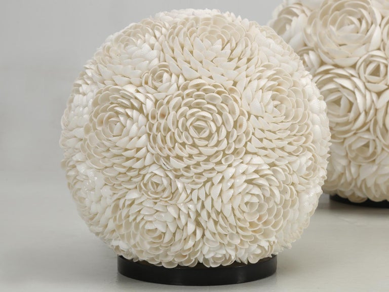 Seashell Sphere Lamps, Set of '7' in Various Dimensions at 1stDibs