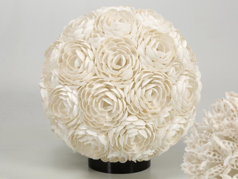 Seashell Sphere Lamps, Set of '7' in Various Dimensions at 1stDibs