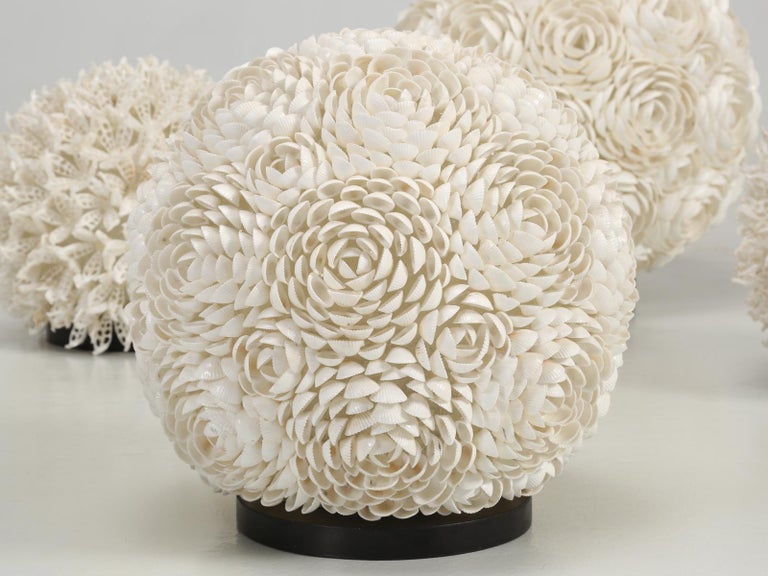 Seashell Sphere Lamps, Set of '7' in Various Dimensions at 1stDibs