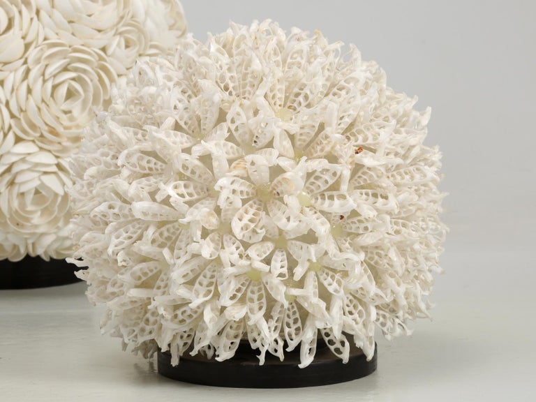 Seashell Sphere Lamps, Set of '7' in Various Dimensions at 1stDibs