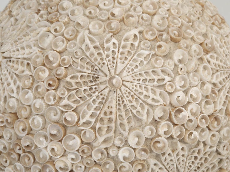 Seashell Sphere Lamps, Set of '7' in Various Dimensions at 1stDibs