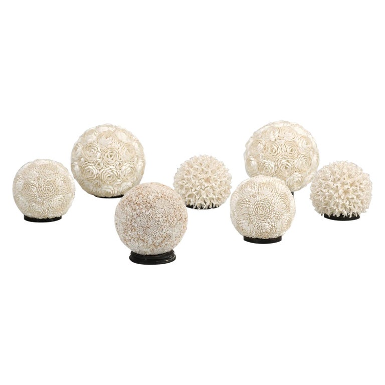 Seashell Sphere Lamps, Set of '7' in Various Dimensions at 1stDibs