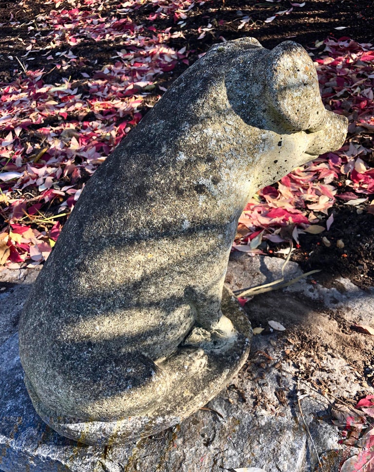 Seated English Cast Stone Pig with Beautiful Patina For Sale at 1stdibs