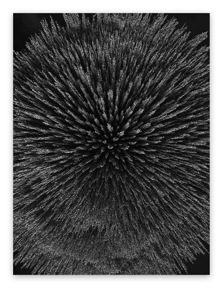 Seb Janiak - Magnetic radiation 99 (Large) (Abstract photography) For ...