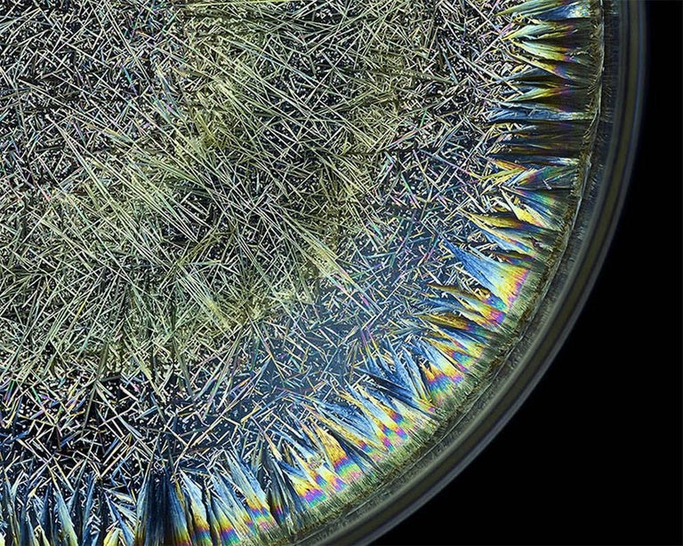 Seb Janiak - Morphogenetic field - AB negative blood (Abstract ...