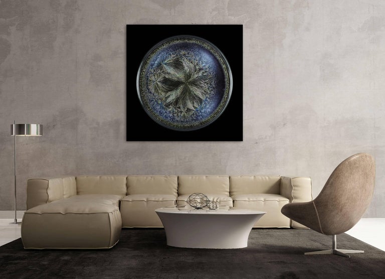 Seb Janiak - Morphogenetic field - Beluga Caviar (Abstract Photography ...