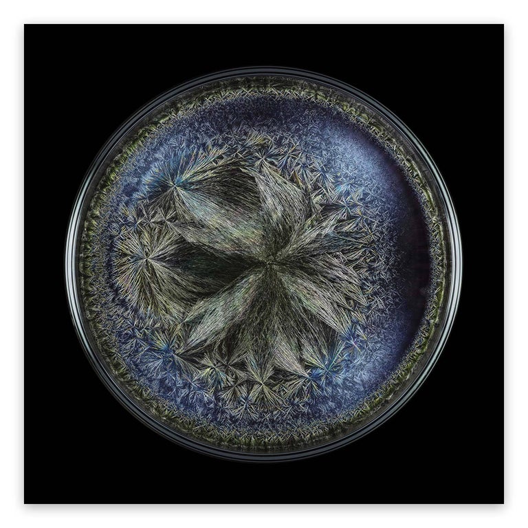 Seb Janiak - Morphogenetic field - Beluga Caviar (Abstract Photography ...
