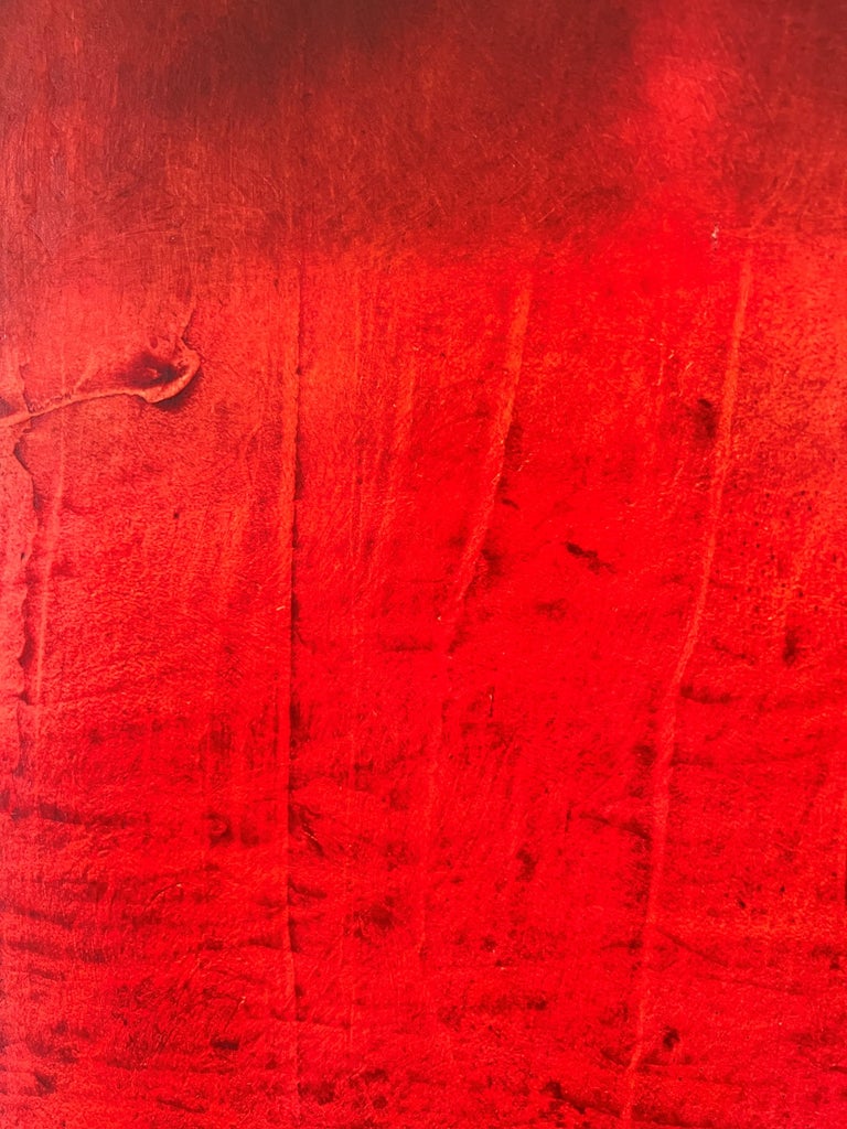 Sebastian Spreng - Distant Horizons 30 X 30 Deep Red Oil on Canvas For ...
