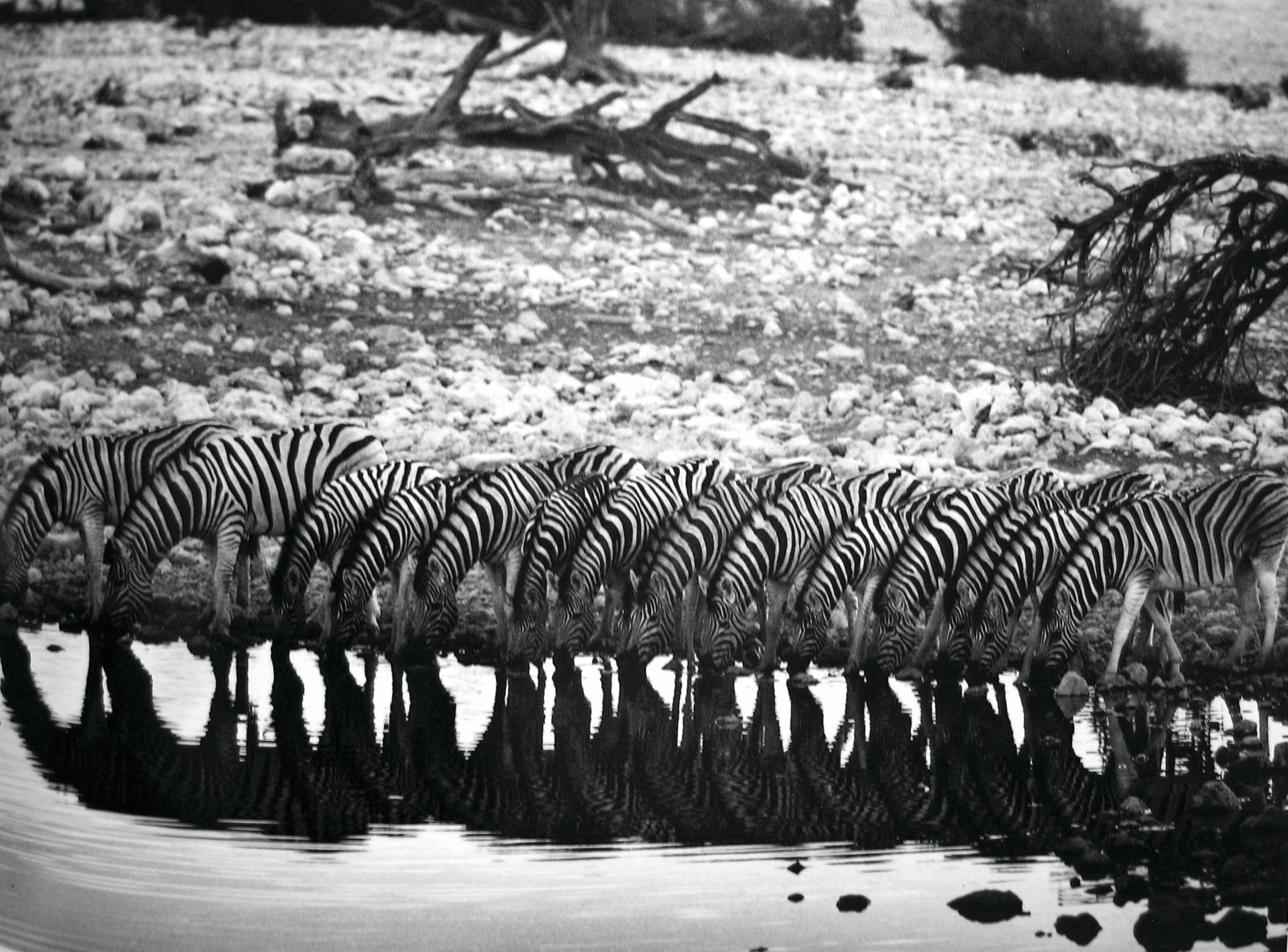 Sebastião Salgado Black and White Photography - 77 For Sale at 1stDibs
