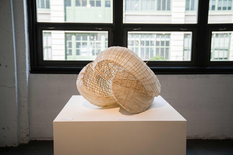 Seed, 2015-2016, from the Unbuildable Concert Hall Series by Stephen ...