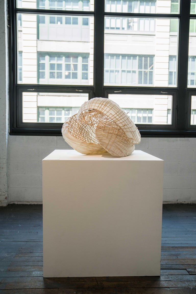 Seed, 2015-2016, from the Unbuildable Concert Hall Series by Stephen ...