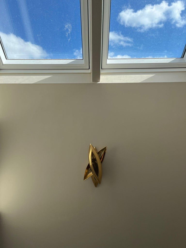 Seed Solid Brass Casting Sculptural Wall Sconce For Sale at 1stDibs