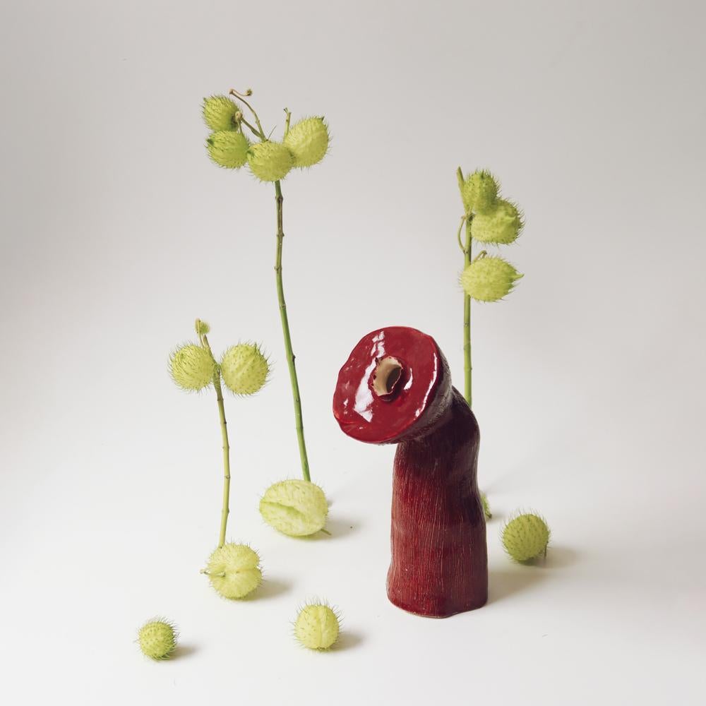 Seed Vessel 03 by Jan Ernst For Sale at 1stDibs