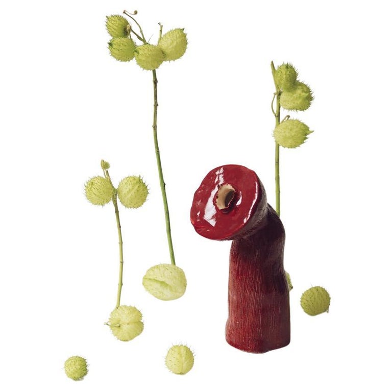 Seed Vessel 03 by Jan Ernst For Sale at 1stDibs