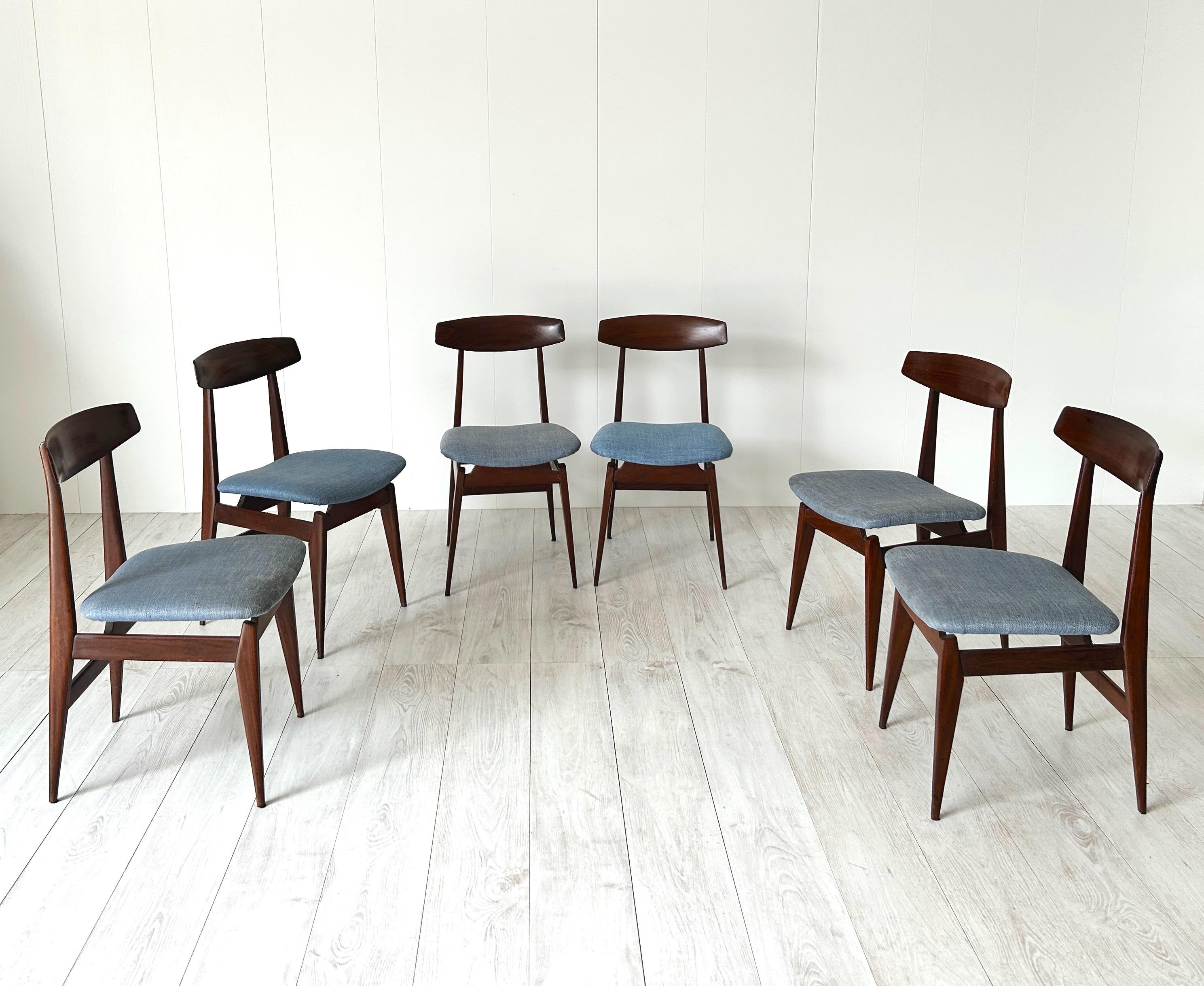 Six Dassi chairs For Sale at 1stDibs