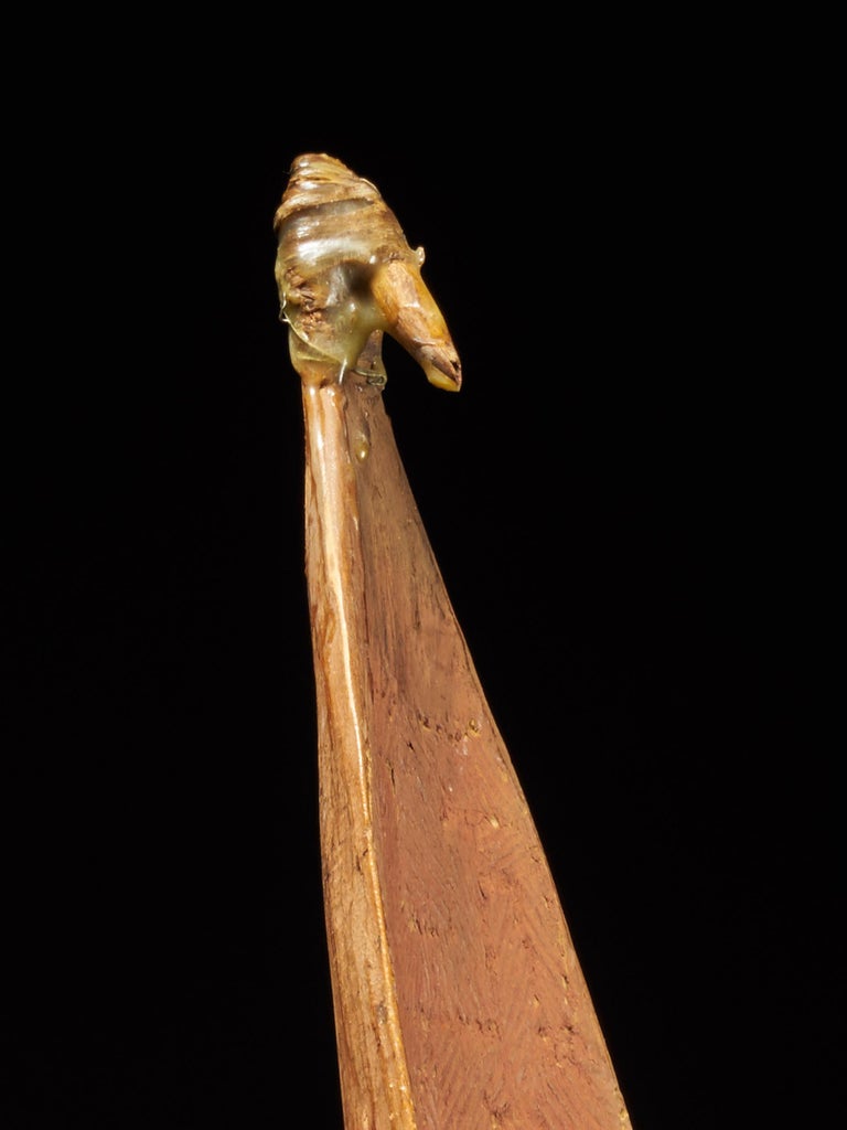 Selection of Three Aboriginal Traditional Weapons, Boomerang and Two ...