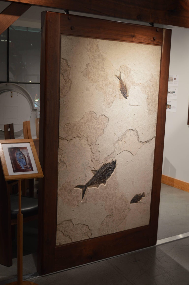 'Sentinel' Solid Wood Sliding Barn Style Door with Rock, Fossil and ...