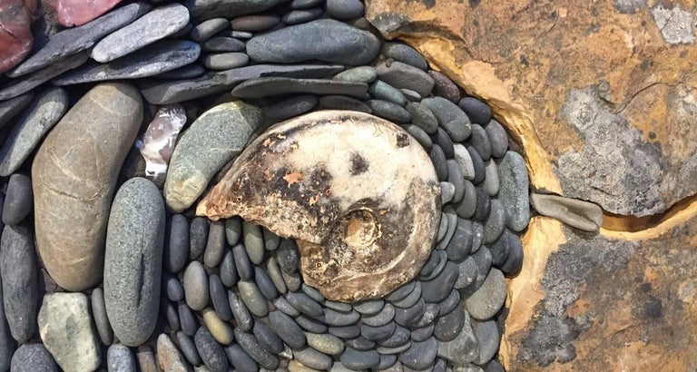 'Sentinel' Solid Wood Sliding Barn Style Door with Rock, Fossil and ...