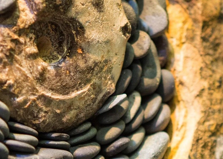 'Sentinel' Solid Wood Sliding Barn Style Door with Rock, Fossil and ...