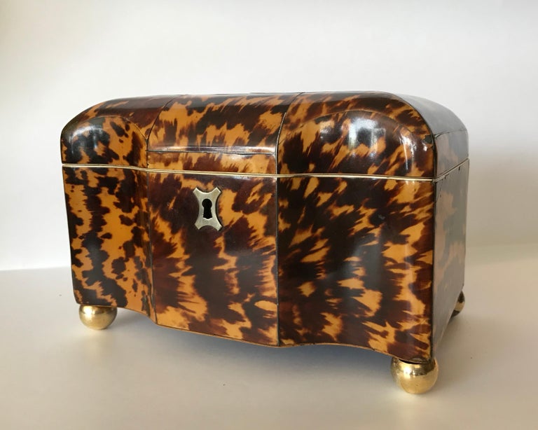 Serpentine Form Regency Tea Caddy at 1stDibs