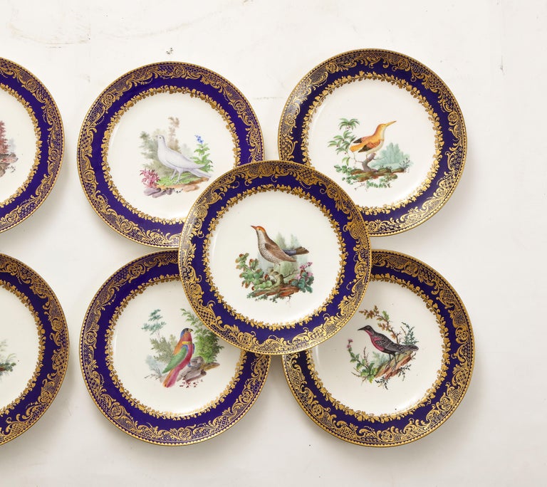 Set 10 18th C. French Sevres Dark Blue Ground, Impasto Gilded Bird ...
