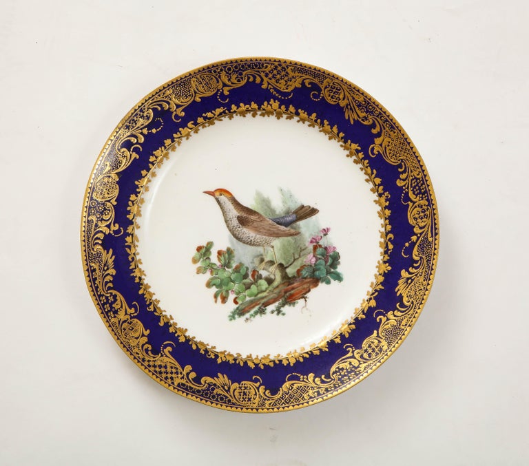 Set 10 18th C. French Sevres Dark Blue Ground, Impasto Gilded Bird ...